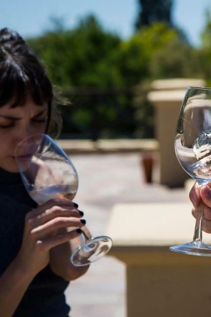 Luxury Wine Tasting in Uco Valley/ Boutique Wineries & Asado - The Value Proposition