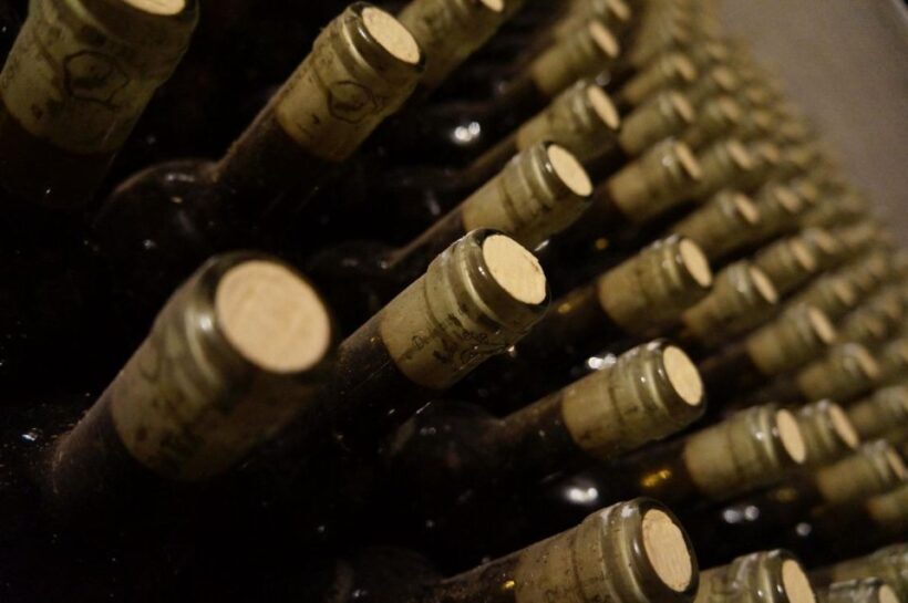 Luxury Wine tasting in Valle d'Itria - What You Can Expect from the Experience