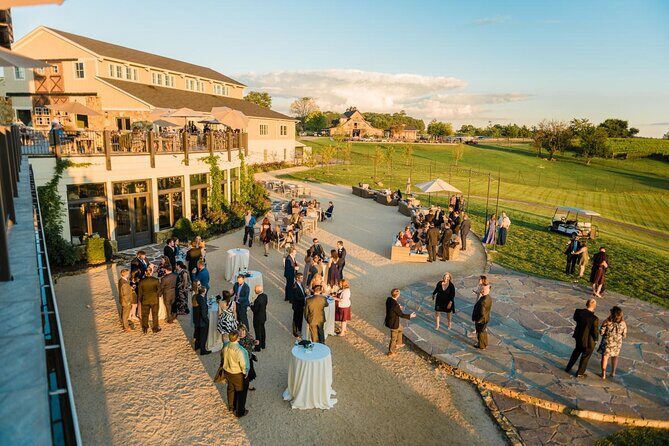Luxury Wine Tour in Washington DC to Loudoun County Vineyards - The Authentic Experience: What Travelers Say