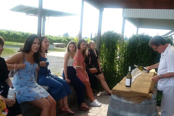 Luxury Wine Tours to Niagara On The Lake - Who Is This Tour Best For?