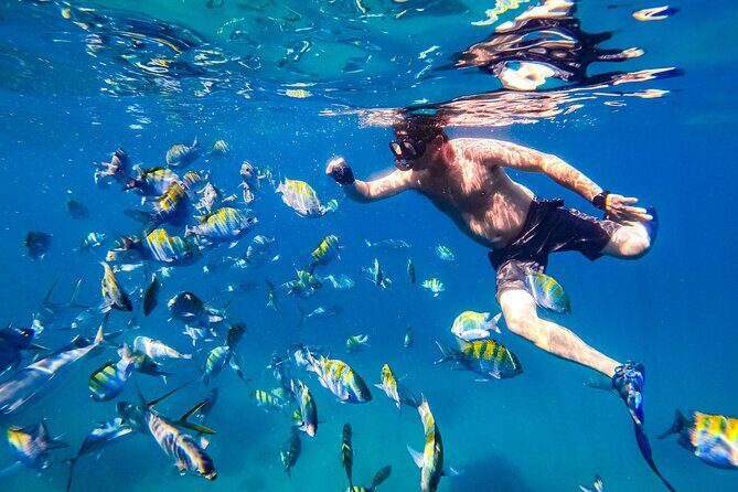 Luxury Yacht & Snorkel with All inclusive Open bar and lunch - Final Thoughts: Who Is This Tour Best For?