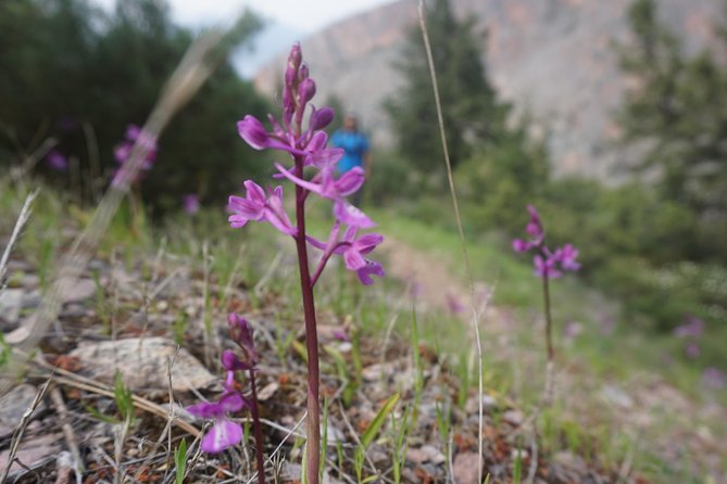 Lycian Way Trekking Tour (7 Days) - Recommended by Travelers