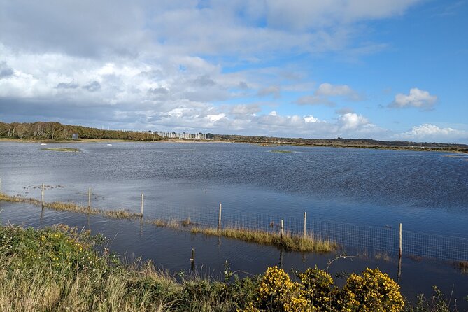 Lymington Wildlife Discovery Walk - The Itinerary: A Closer Look