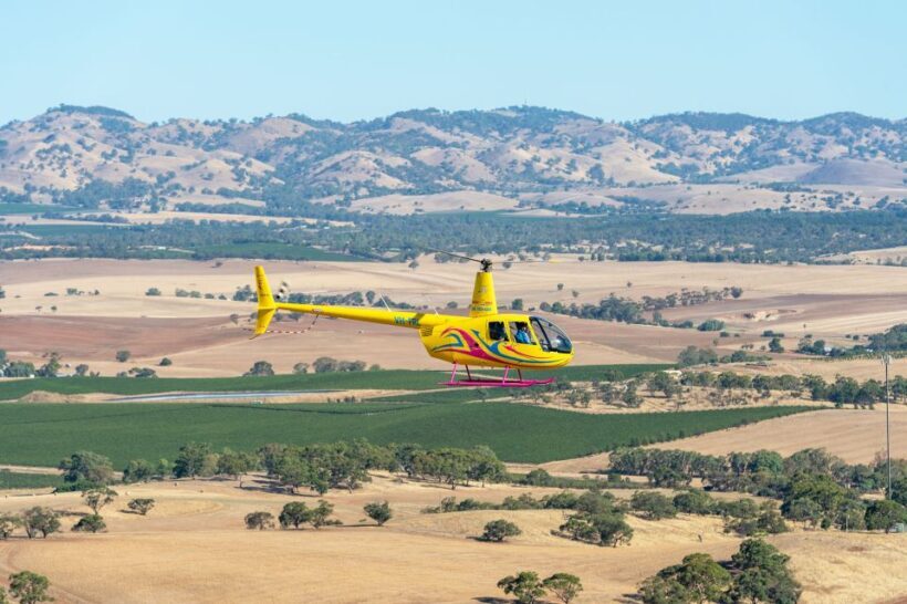 Lyndoch: Barossa Valley Helicopter Flight & Romantic Picnic - Who Would Love This Tour?