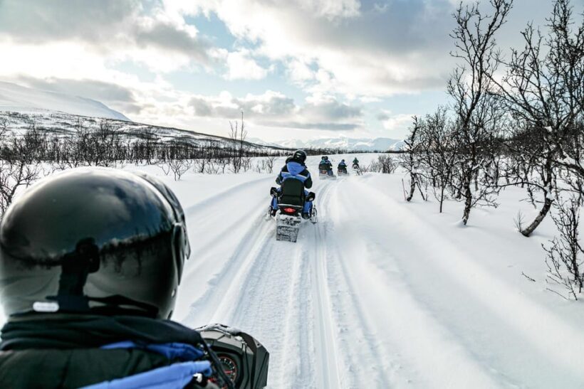 Lyngen: Snowmobile Safari with Lunch in seaside Restaurant - What to Expect and Why It Matters