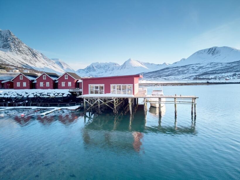 Lyngen: Snowmobile Safari with Lunch in seaside Restaurant - Who Should Consider This Tour?
