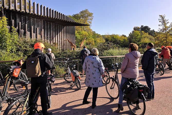 Lyon Electric Bike Tour Including Food Tasting With a Local Guide - The Scenic Ride Along the Rhône River