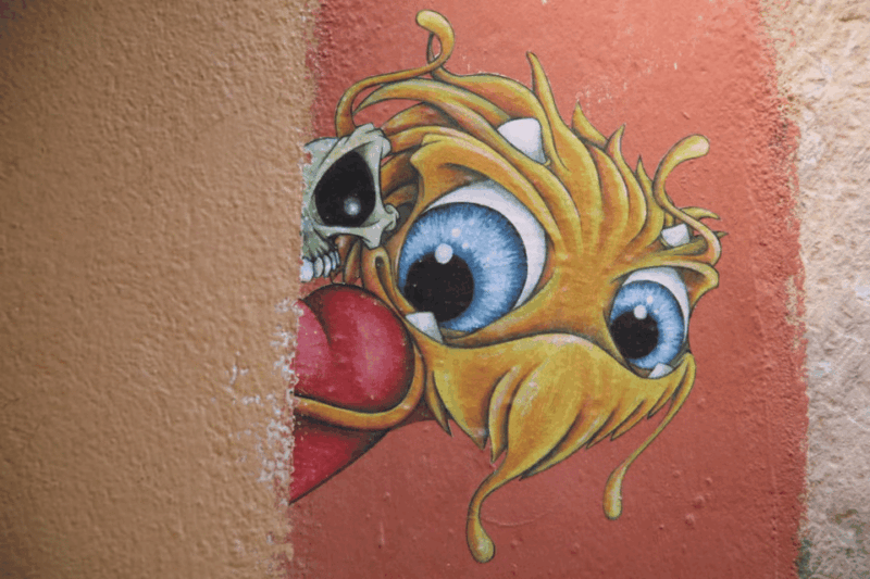 Lyon: Guided tour of the Croix-Rousse - FAQ