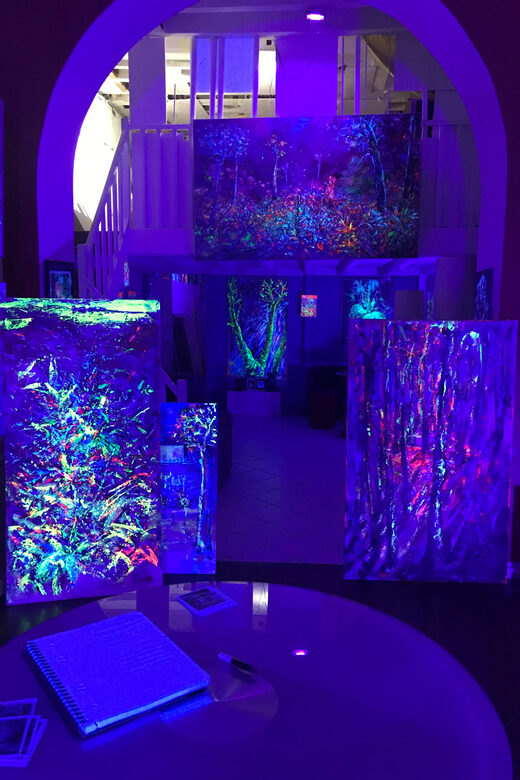 Lyon : Neon painting in an artist's studio - gallery - Introduction