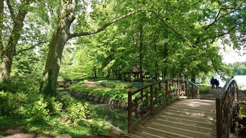 Lyon: 'Parc de la Tête d'Or' Urban Park Walking Tour - Key Points