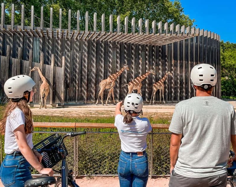 Lyon: Parc Tête d'Or eBike Tour - The Itinerary: What You’ll See and Experience