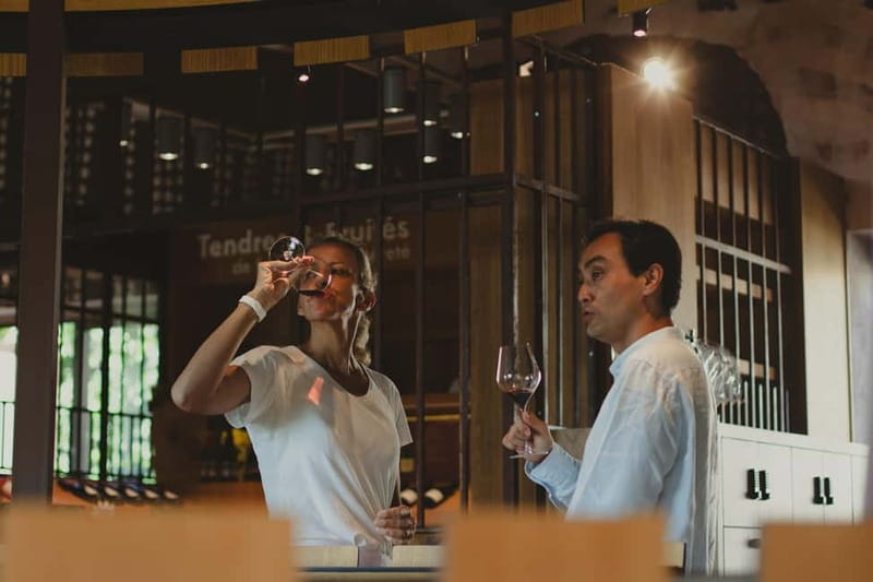 Lyon: Private Half Day Beaujolais Wine Tour by Defender - A Closer Look at the Experience