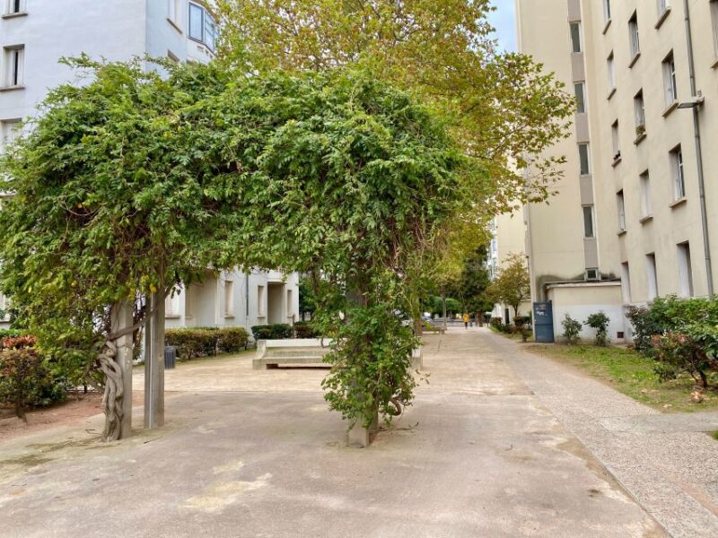 Lyon: Street Art Audio-Guided Walking Tour - Booking Information