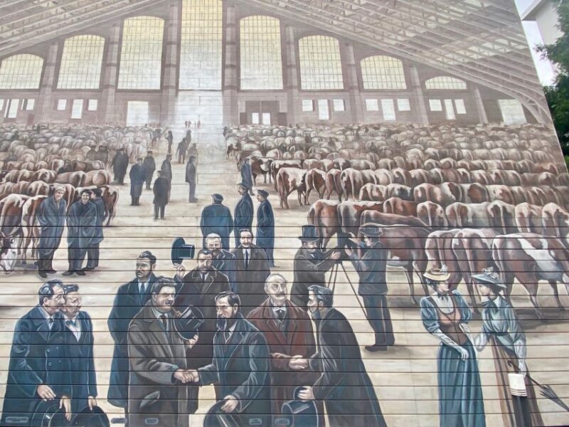 Lyon: Street Art Audio-Guided Walking Tour - Customer Feedback