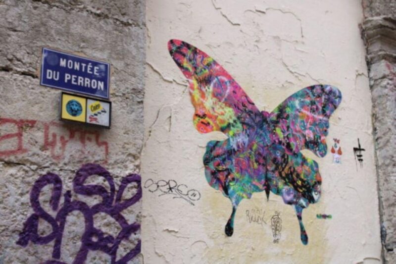 Lyon: Street Art & Street Food Tour - Lyon: Street Art & Street Food Tour - A Deep Dive into Urban Culture