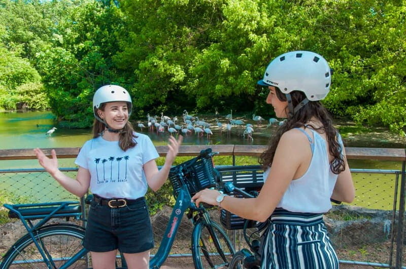Lyon: The Great ebike Tour - Key Points