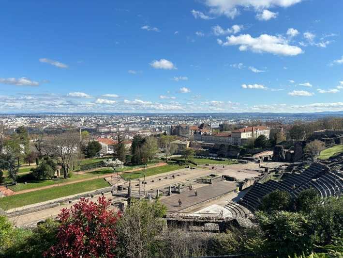 Lyon : Visit Lyon on a private half-day tour with a driver - Value and Price Analysis