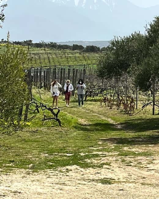 Lyrarakis Winery Official Shuttle Service Tour and Taste - Key Points