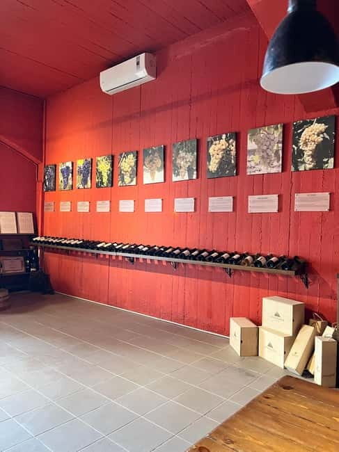 Lyrarakis Winery Official Shuttle Service Tour and Taste - Who Should Consider This Tour?