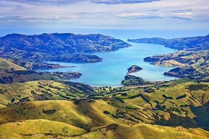 Lyttelton Cruise Excursions: Christchurch Sightseeing with Sheep Farm - Who Would Love This Tour?