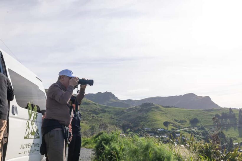 Lyttelton: Shore Excursion, Castle Hill & Inland Canterbury - A Scenic Journey through Canterbury’s Inland Wonders