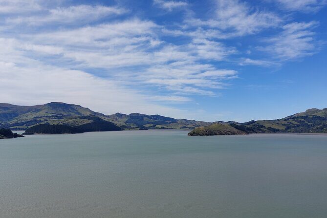 Lyttelton Shore Excursion: Christchurch Sightseeing with Antarctic Center - Who Should Consider This Tour?