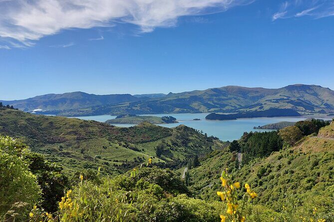 Lyttelton Shore Excursion: Christchurch Sightseeing with Jet Boating - A Detailed Look at the Tour