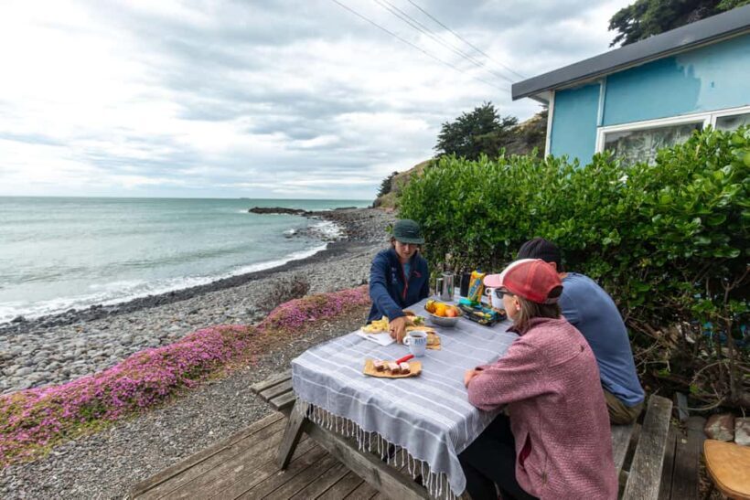 Lyttelton: Shore Excursion, Godley Head, Guided Walk - The Coastal Walk: Cliffs, Wildlife, and History