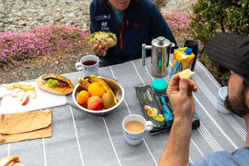 Lyttelton: Shore Excursion, Godley Head, Guided Walk - What’s Included and What’s Not