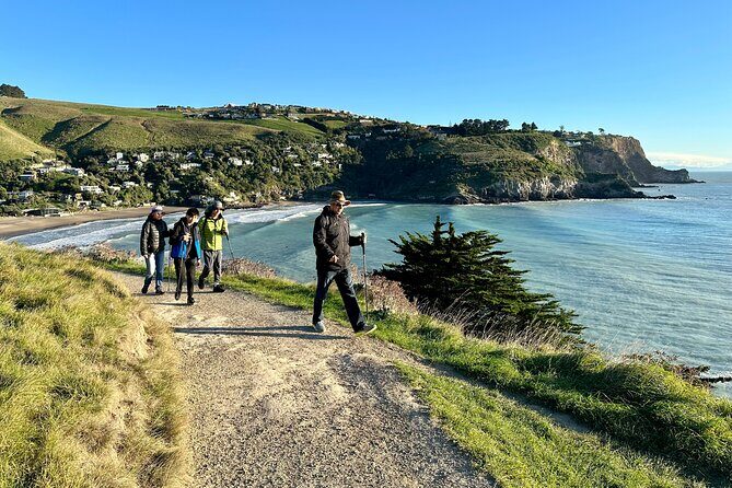 Lyttelton Shore Excursion - Guided Walking Tour and Picnic - An Authentic Day Out: The Complete Itinerary