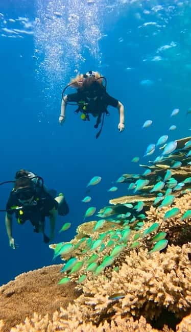 Maafushi: Discover Scuba Diving Class, First Time Experience - What to Expect from the Maafushi Discover Scuba Tour