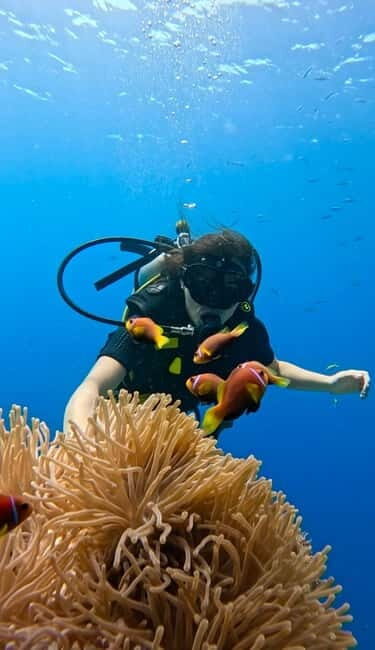Maafushi: Discover Scuba Diving Class, First Time Experience - Why This Tour Offers Good Value