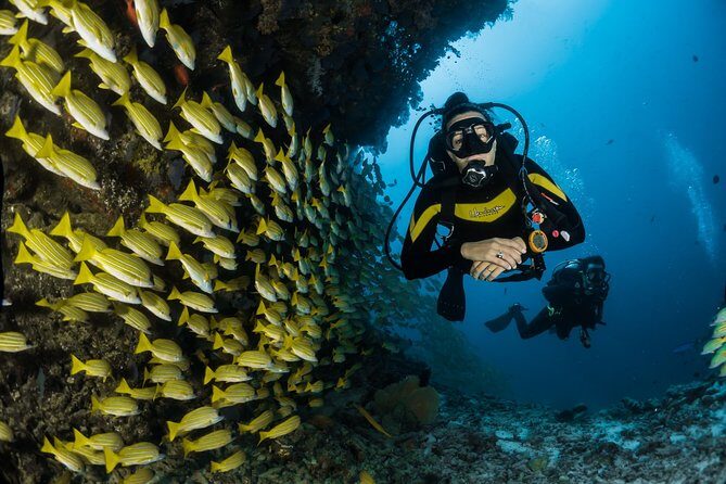 Maafushi: Discover Scuba Diving in Maldives (for Beginners) - Final Thoughts