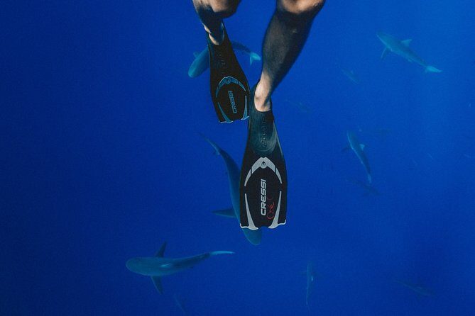 Maafushi: Discover Scuba Diving in Maldives (for Beginners) - FAQ