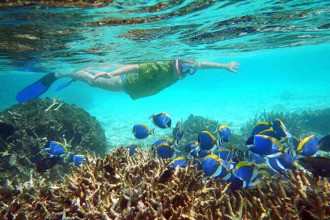 Maafushi: Full Day Snorkeling and Island Hopping Experience - Key Points