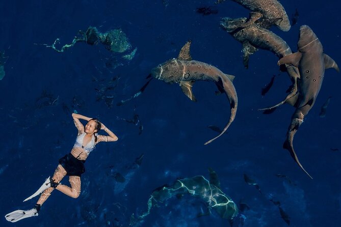 Maafushi: Ship wreck & Nurse shark snorkeling with Dolphin watching - The Value of This Experience