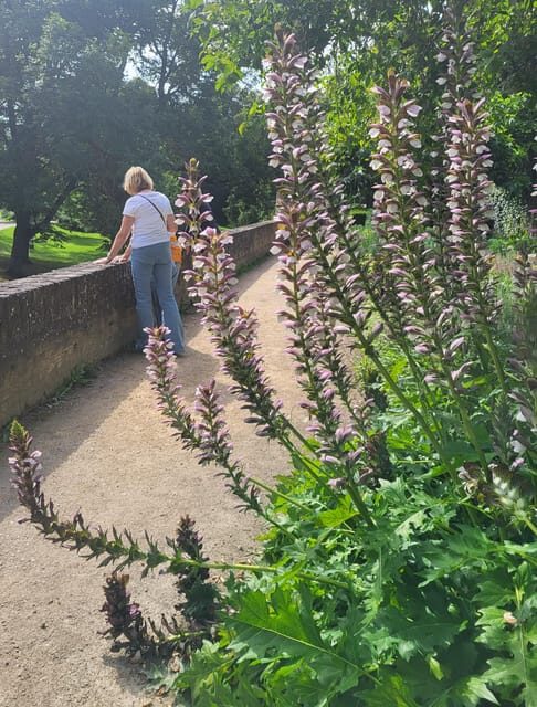 Maastricht Hidden Gems Tour Uncover the Unexpected - A Detailed Look at the Maastricht Hidden Gems Tour