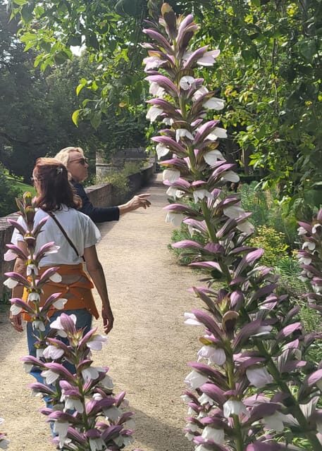 Maastricht Hidden Gems Tour Uncover the Unexpected - Why Choose This Tour?