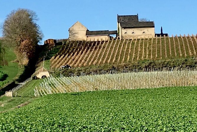 Maastricht Privat Sightseeing City Walk - Highlights of the Private Tour Experience