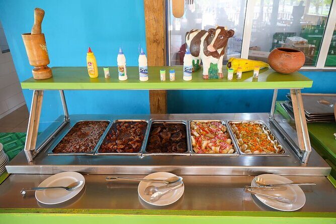 Macao Adventure Park Zipline, Buggy Ride, Cave Swim with Lunch - A Balanced Look at the Macao Adventure Park Tour