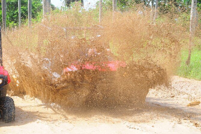 Macao Beach Buggies and adventures in Taino cave - What to Expect