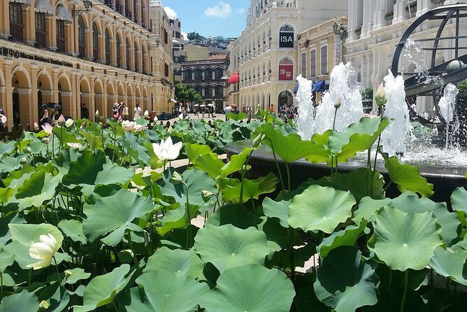 Macau Day Tour - From your Macau hotel - FAQ
