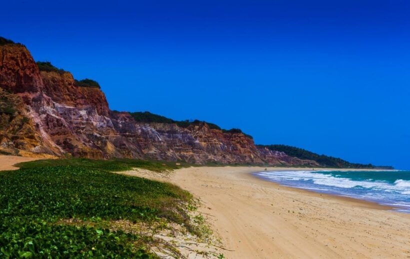 Maceio: Tour to Gunga Beach - Who Should Consider This Tour?