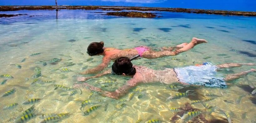 Maceio: Tour to Paripueira Beach - The Sum Up