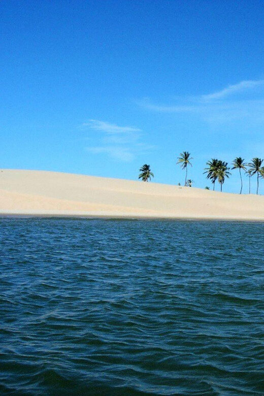 Maceio: Tour to São Francisco River - Key Points