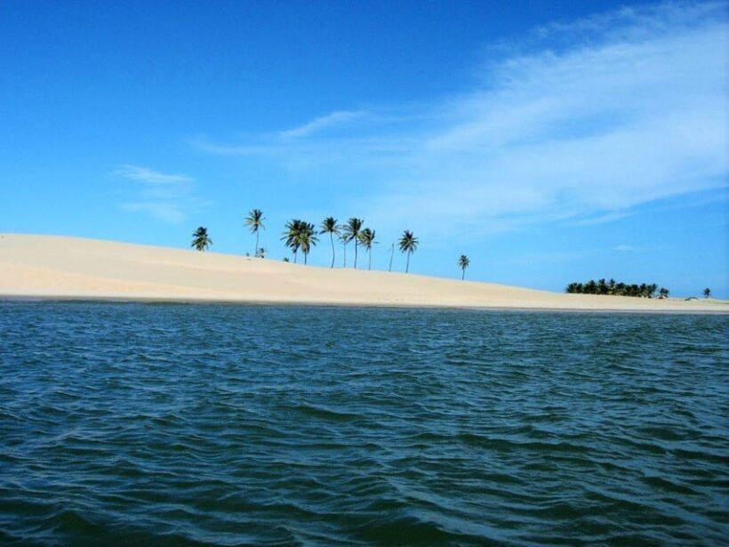 Maceio: Tour to São Francisco River - Introduction: What’s this tour all about?
