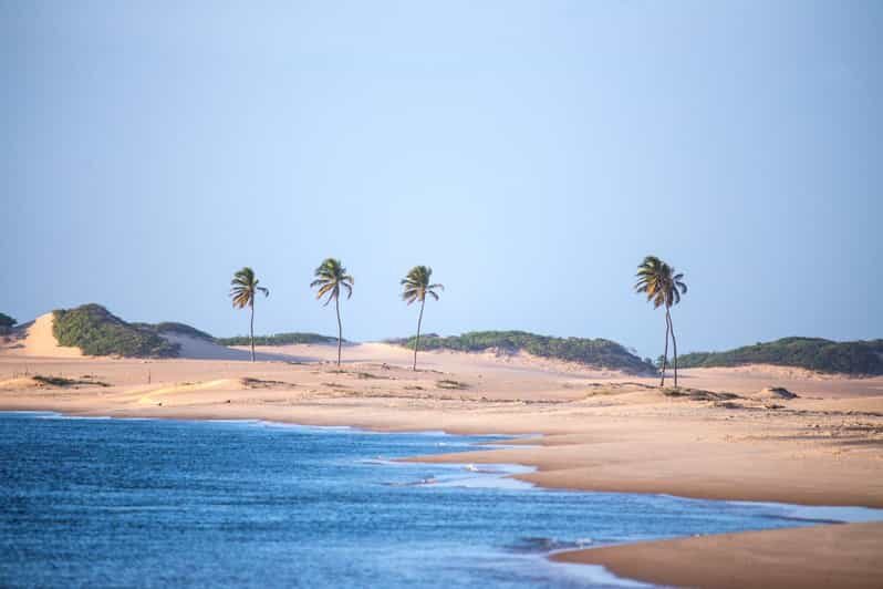 Maceio: Tour to São Francisco River - The Experience and What You’ll Love