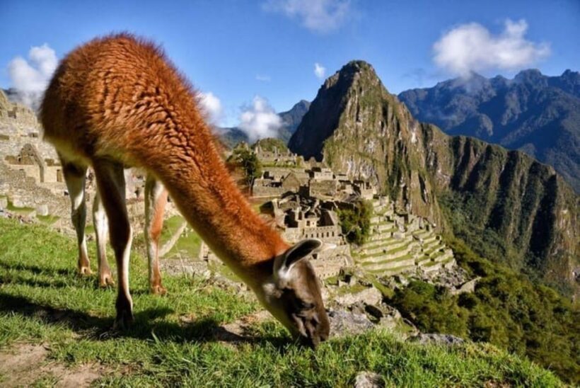 Machu Picchu 1 day Adventure + lunch - Price and Value: Analyzing the Cost