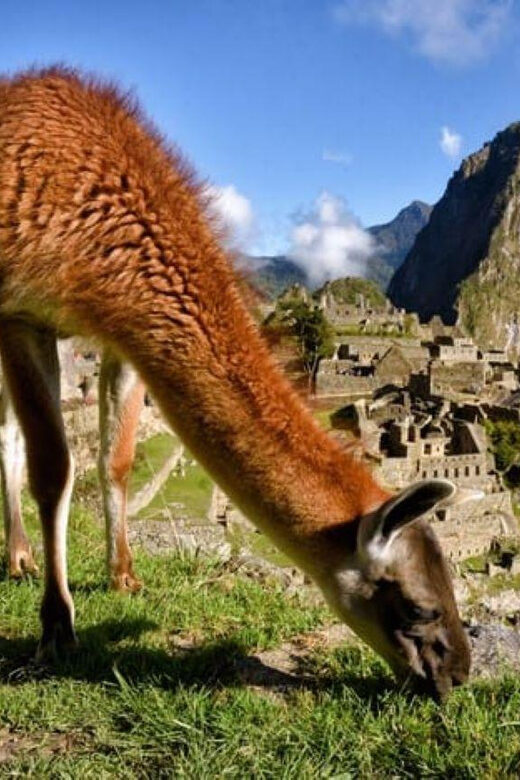 Machu Picchu 1 day Adventure + lunch - Final Thoughts: Is It Worth It?