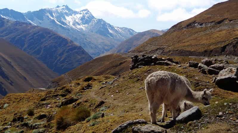 Machu Picchu 2 Days / 1 Night (By Bus) - Night in Aguas Calientes: Rest and Anticipation